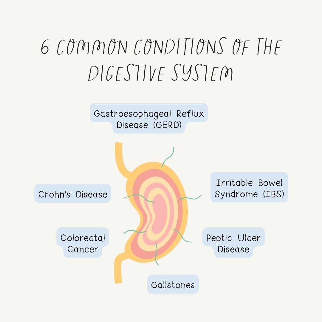 6 Common Conditions Of The Digestive System Instagram Post Canva Templ ...