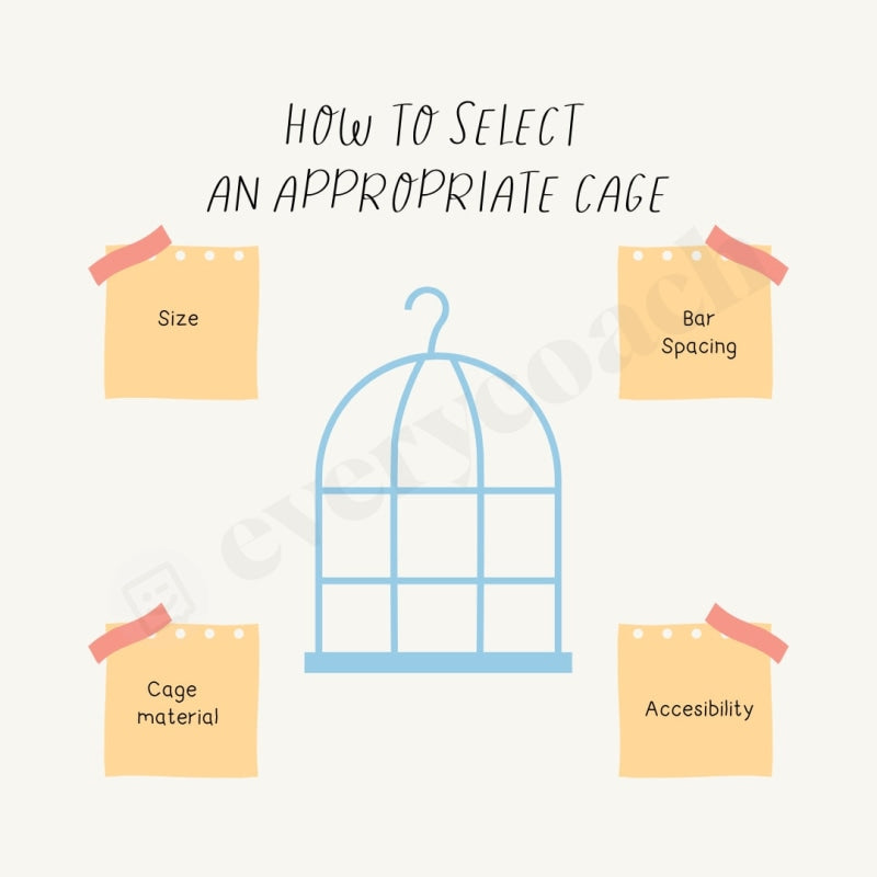 How To Select An Appropriate Cage Instagram Post Canva Template ...
