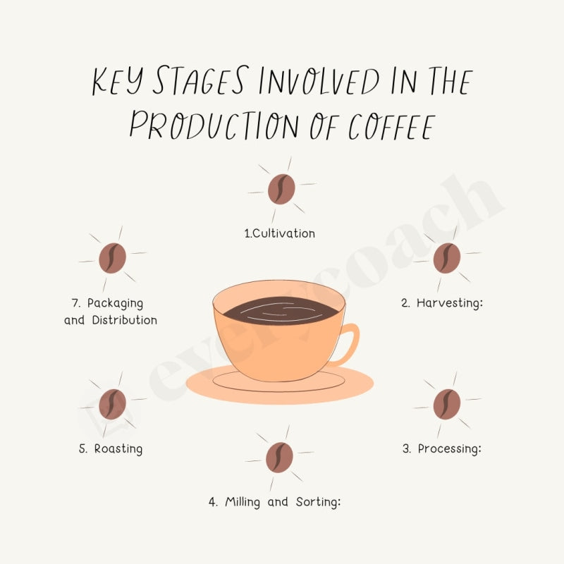 Key Stages Involved In The Production Of Coffee Instagram Post Canva T ...