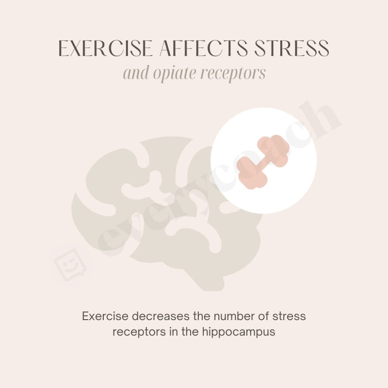 Exercise Affects Stress And Opiate Receptors Instagram Post Canva Temp ...