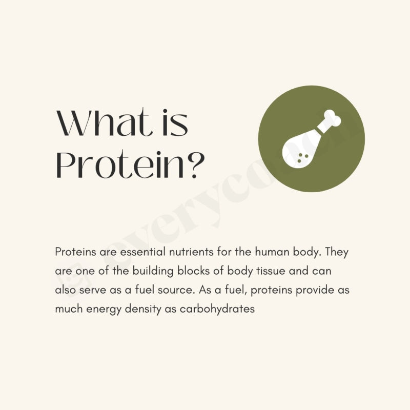 What is Protein? Instagram Post Canva Template – everycoach