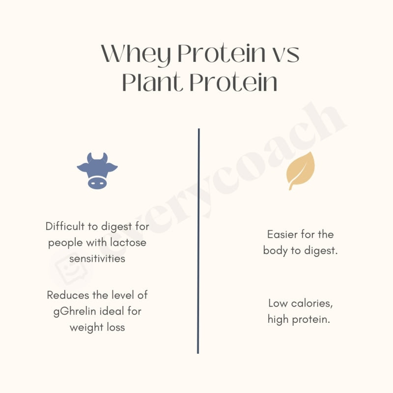 Whey Protein vs Plant Protein Instagram Post Canva Template – everycoach